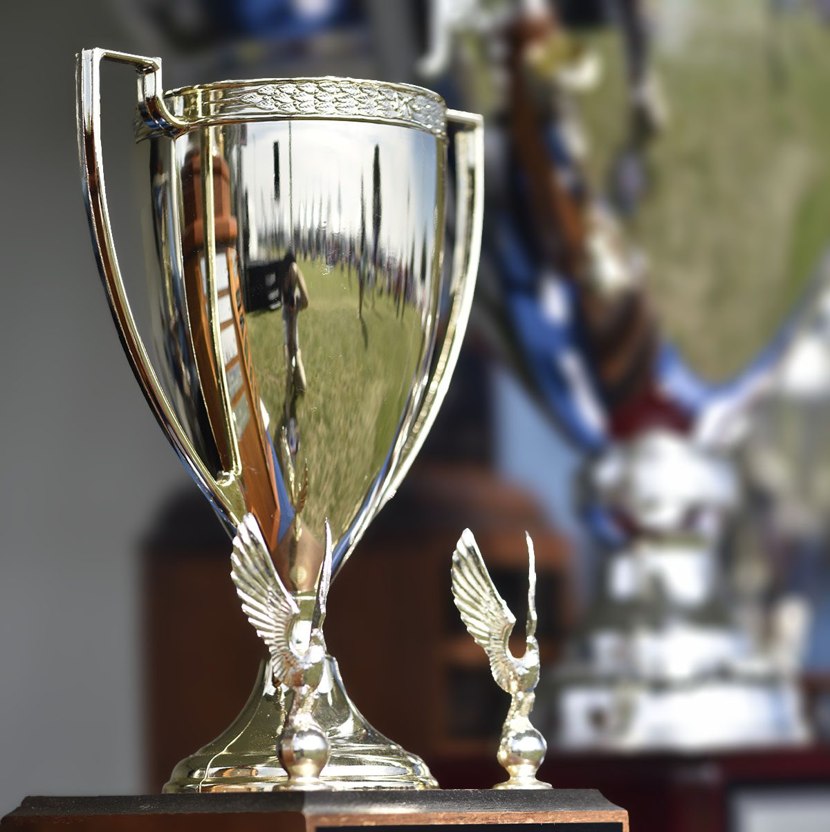 Trophies – San Diego Crew Classic®